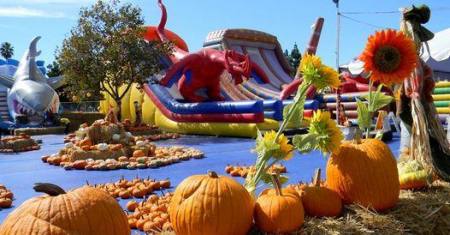 ABC Tree Farms Pumpkin Patch - Visit Concord