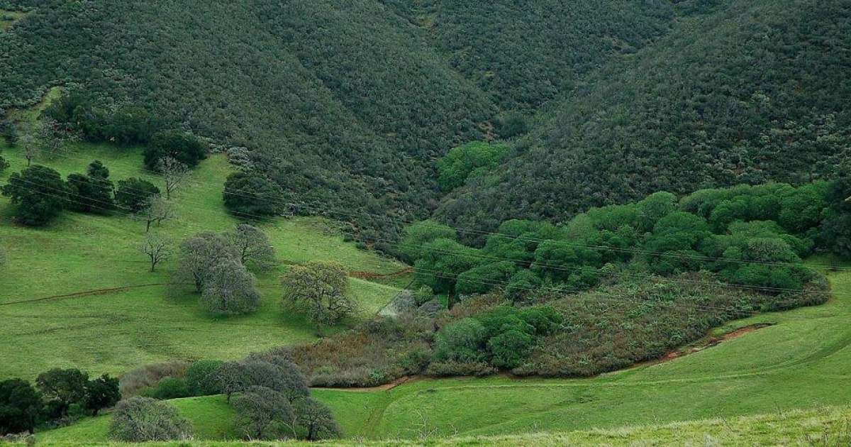 Mangini Ranch Meditation Hike - Visit Concord