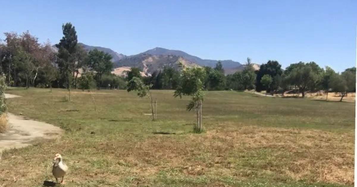 Walk To And Through Newhall Park In Concord - Visit Concord