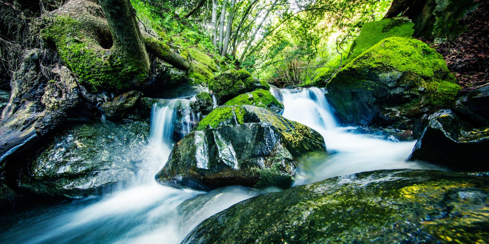 Outdoors & Nature - Visit Concord